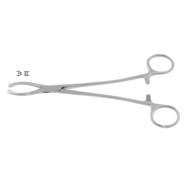 Littlewood Intestinal and Tissue Grasping Forceps Stainless Steel, 18.5 ...